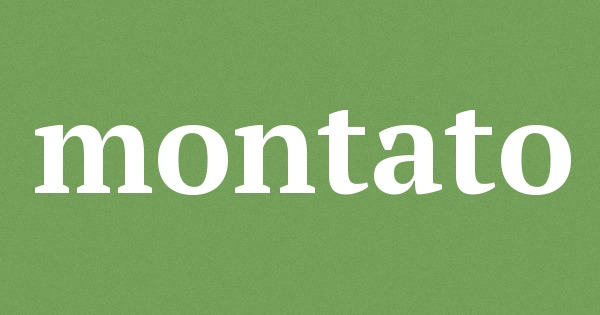montato sinonimi, montato contrari :: Sinonimi - Contrari